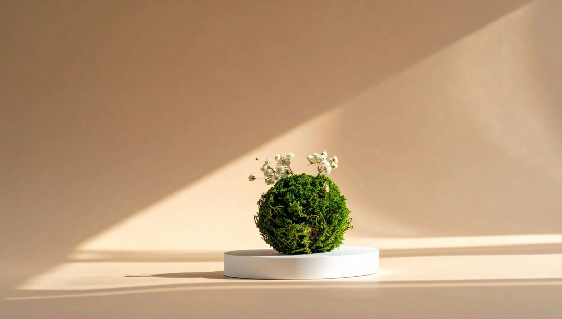 Kokedama & Living Art: Unique Ways to Display Plants | UrbaneEight ...
