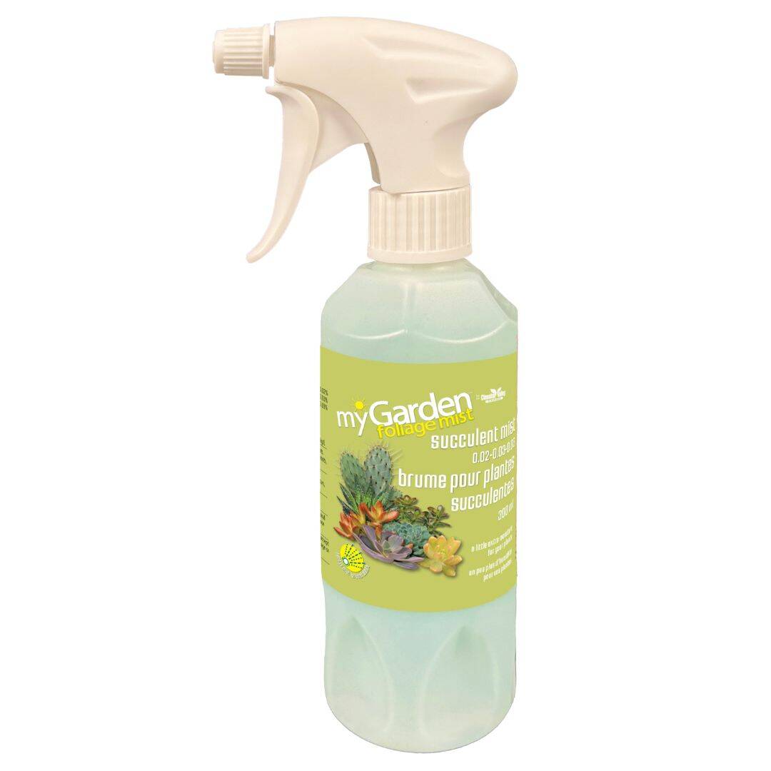 Succulent Foliage Mist 300ml – Hydrating Spray for Healthy Succulents ...