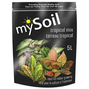 Tropical Mix 5L – Premium Potting Soil for Tropical & Indoor Plants ...